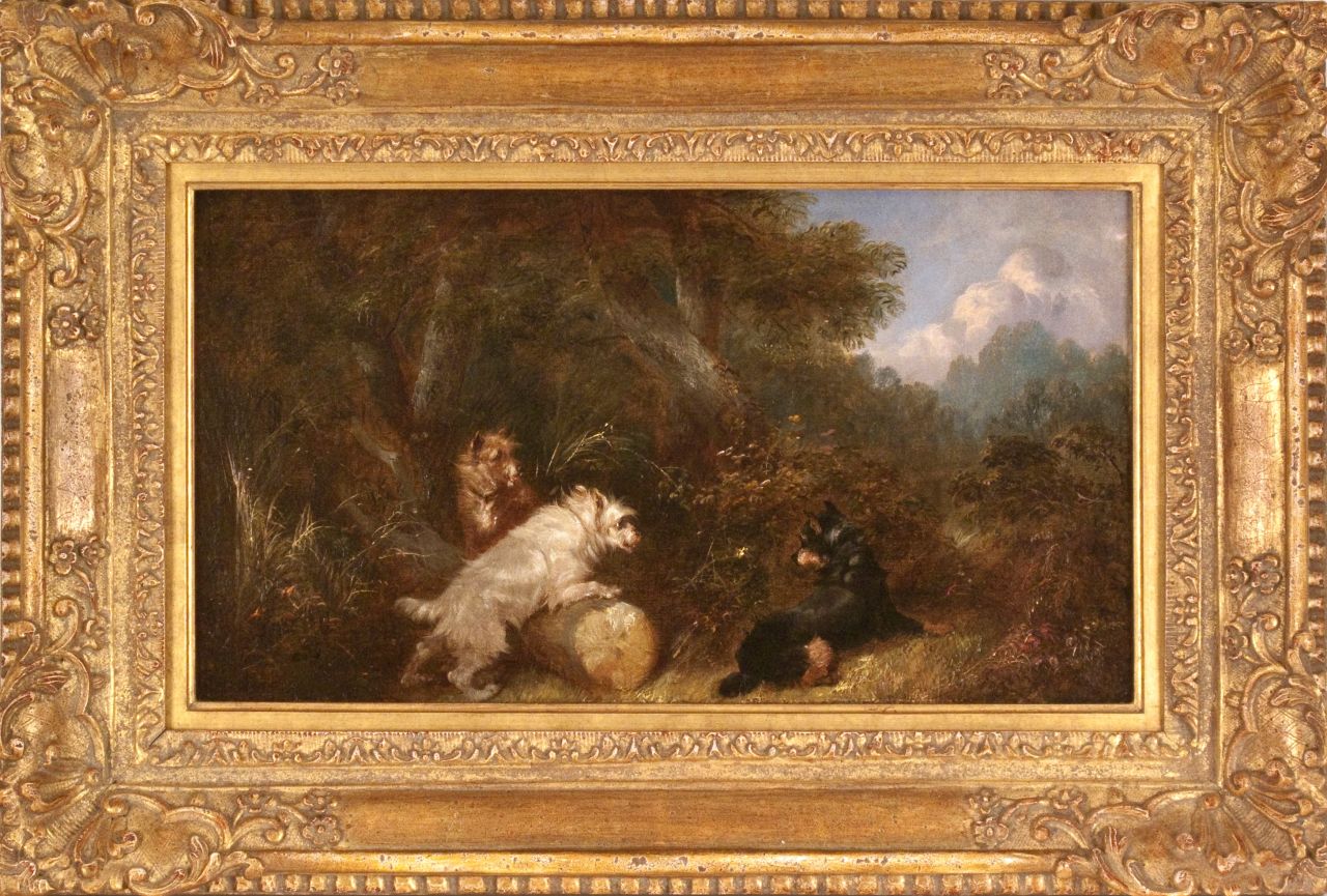 George Armfield - Terriers in a Landscape at 1stDibs