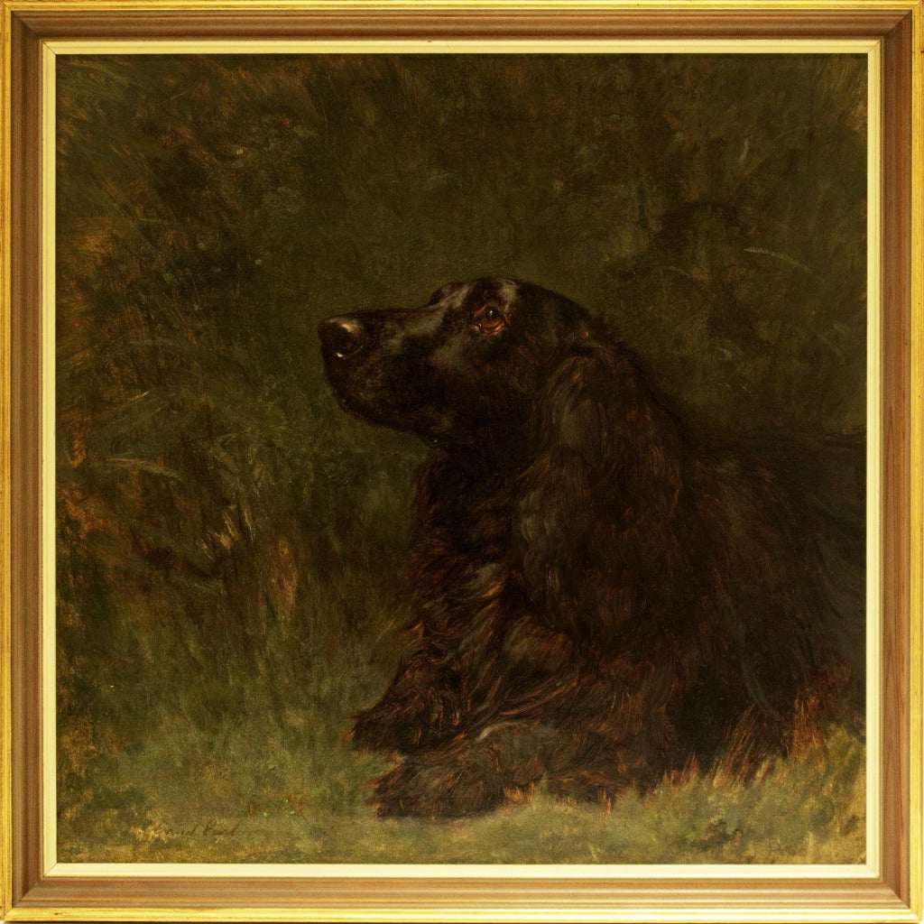 Maud Earl - Field Spaniel at 1stDibs