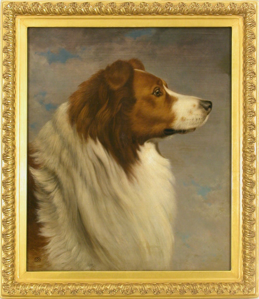 David Johnson - Collie Head Study at 1stDibs