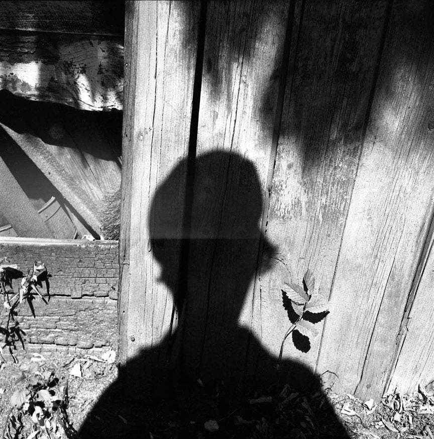 Vivian Maier - Self-Portrait (Shadow on Wood), ca. 1960s at 1stDibs