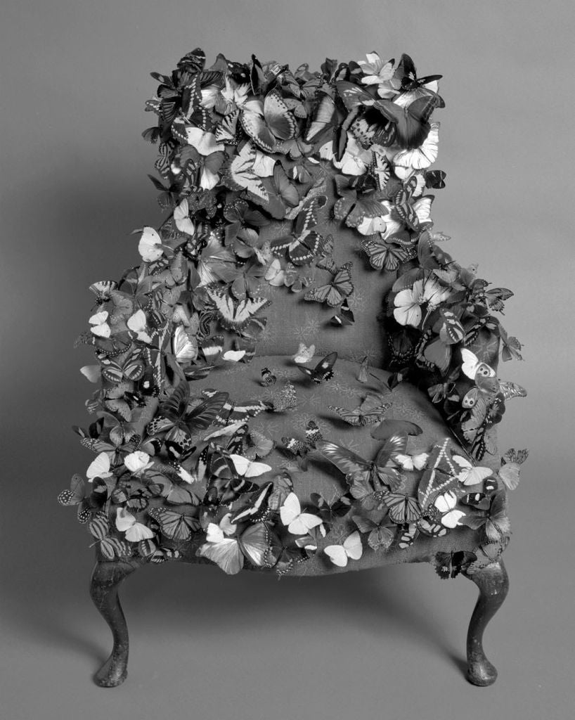 Geof Kern - Butterfly Chair, 1994 For Sale at 1stDibs