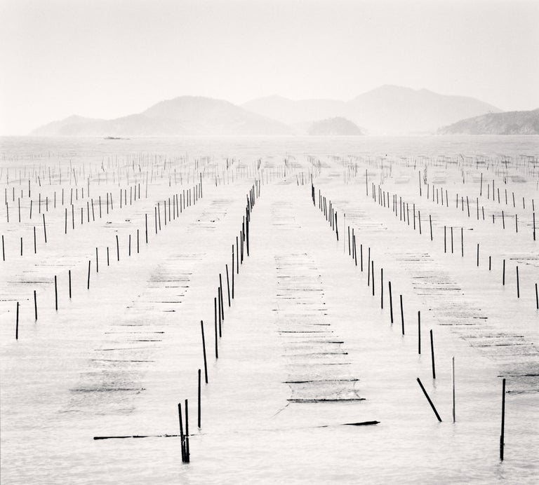 Michael Kenna - Seaweed beds, Jeung-do Shinan, South Korea, 2012 ...