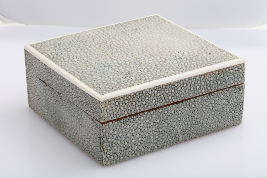 English Art Deco Shagreen and Ivory Box with Wooden Liner at 1stDibs