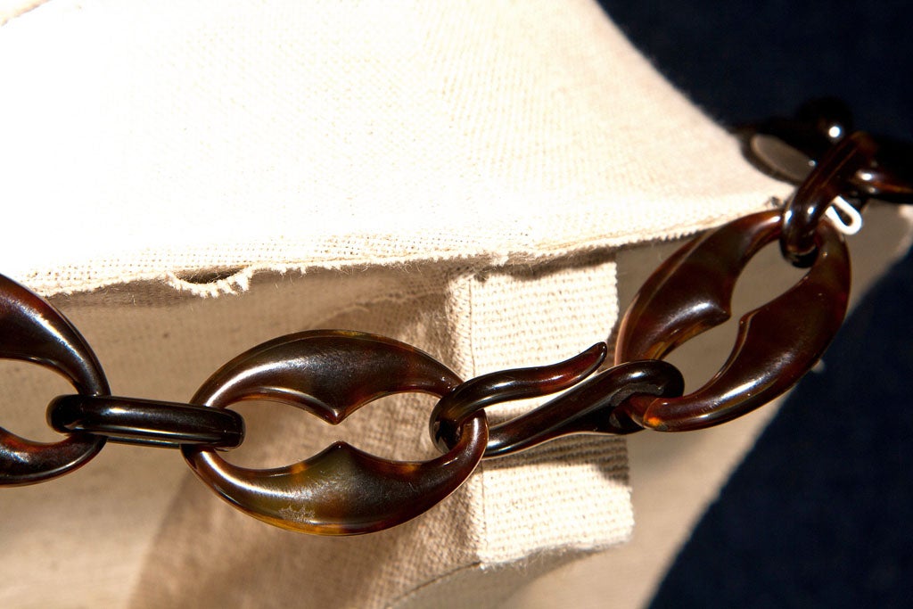 Large Tortoise Shell Locket On Tortoise Chain at 1stDibs