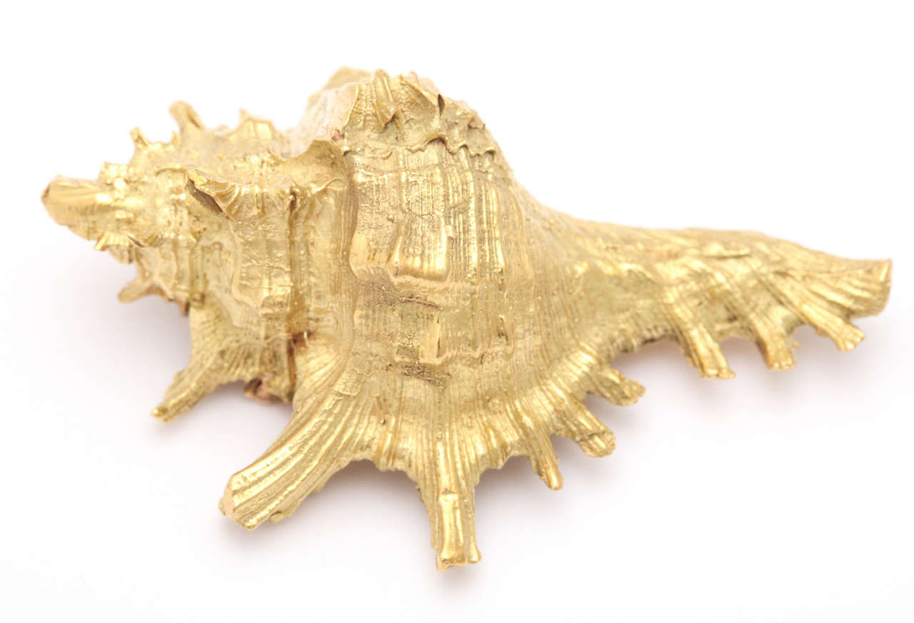 Impressive Gold Conch Shell Brooch at 1stDibs