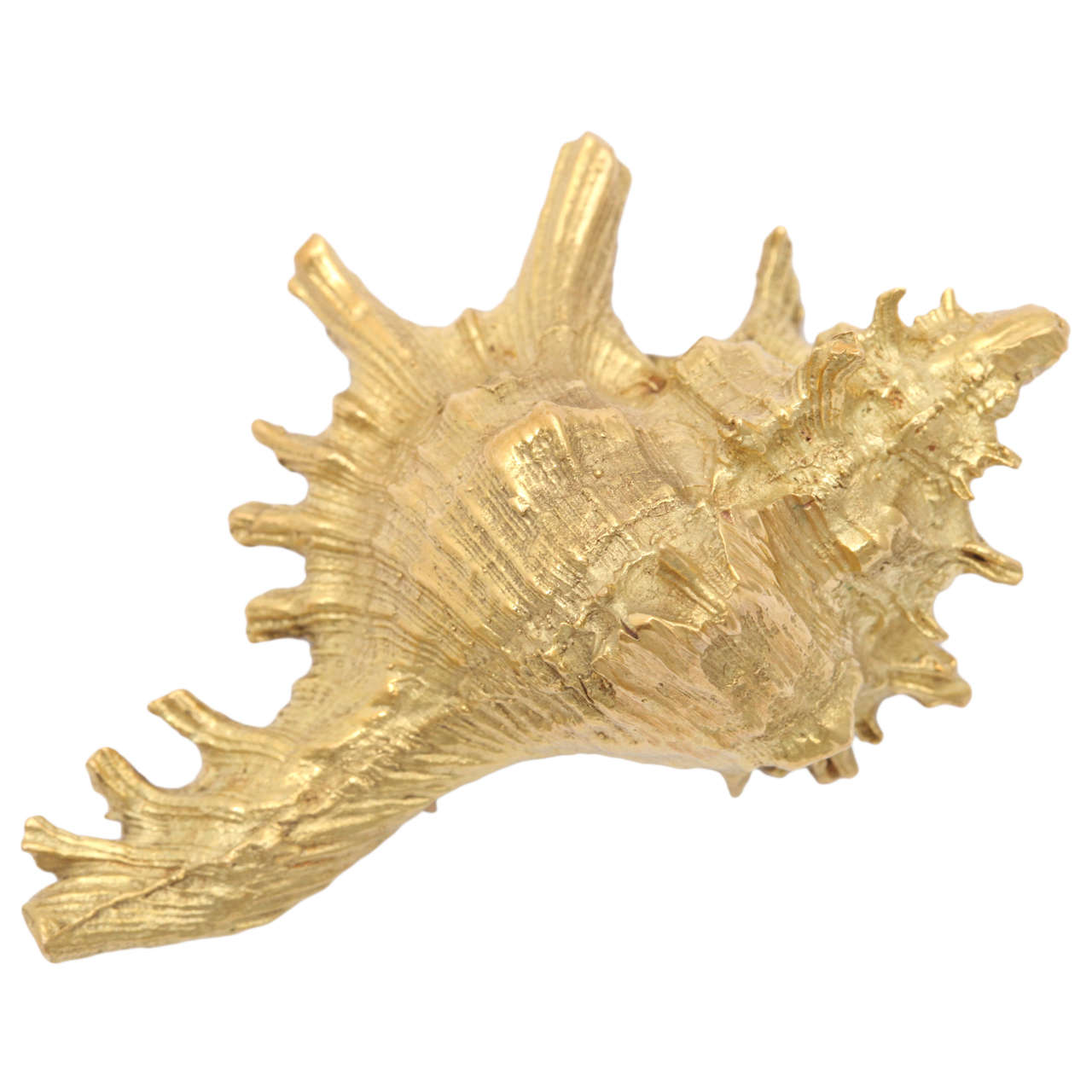 Impressive Gold Conch Shell Brooch at 1stDibs