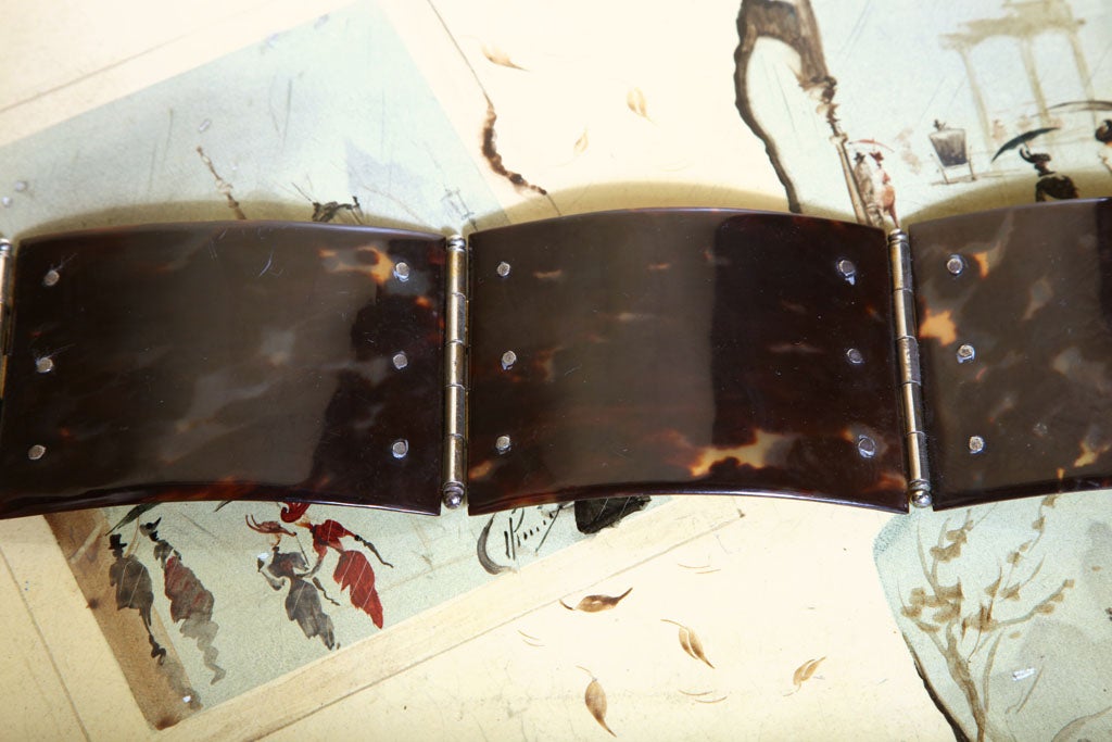 Tortoise Shell Belt at 1stDibs | tortoise shell belt buckle ...