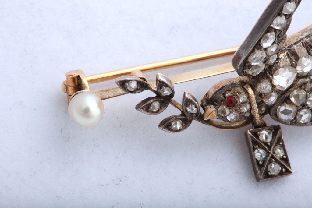 Victorian Bird Brooch For Sale at 1stDibs