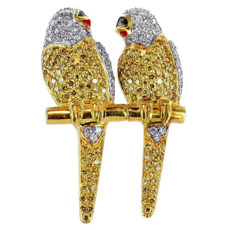 Natural and Colorless Two Color Diamond Parrot Pin For Sale at 1stDibs