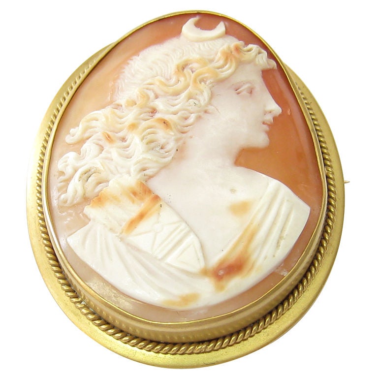 Antique Shell Cameo For Sale at 1stDibs