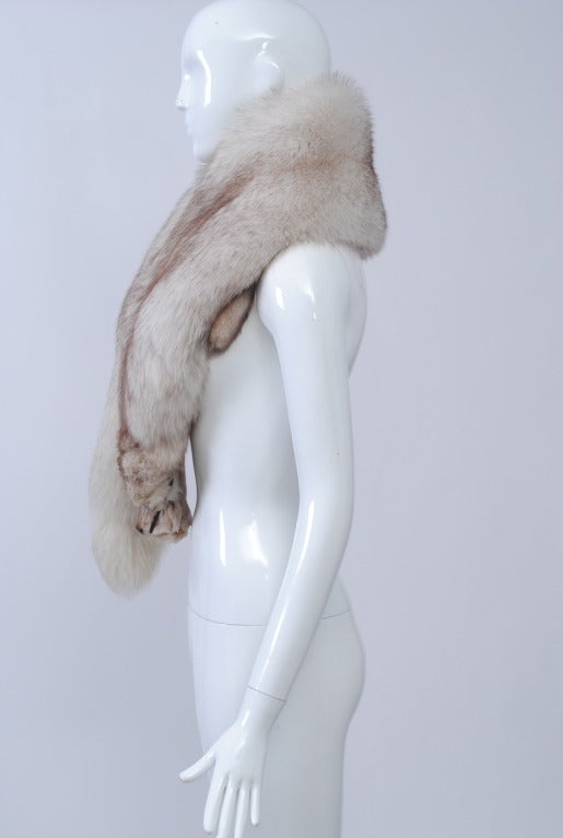 Full Body Fox Stole at 1stDibs