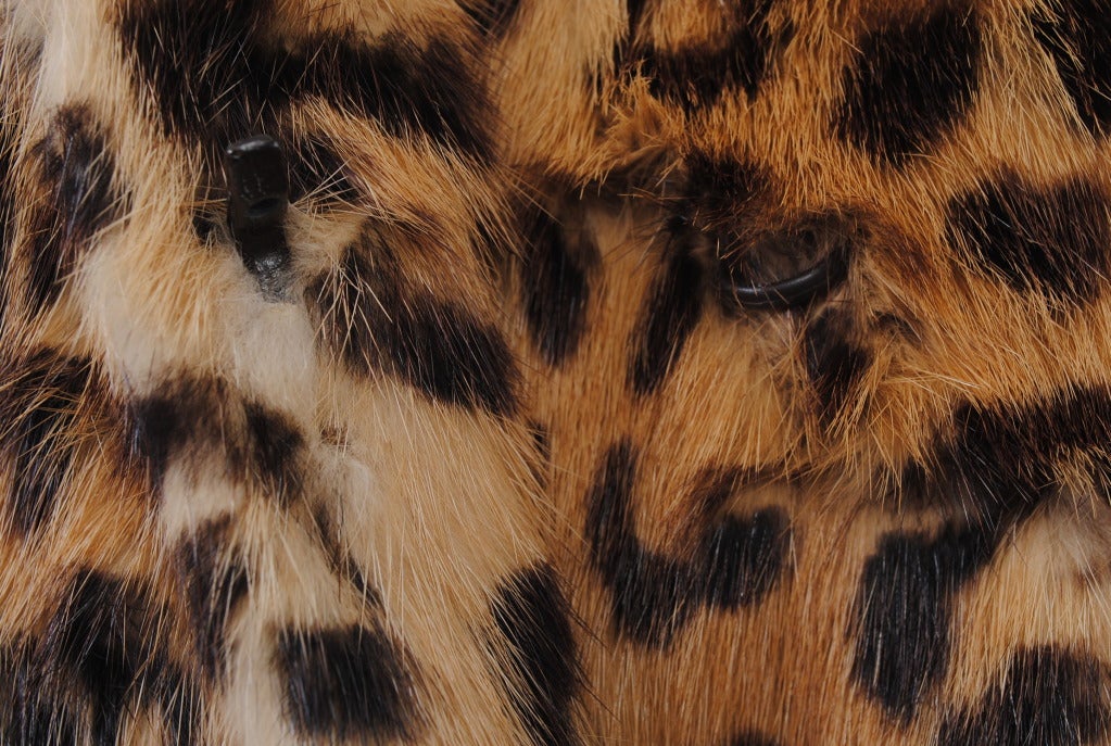 Maximilian Spotted Mink Coat at 1stDibs