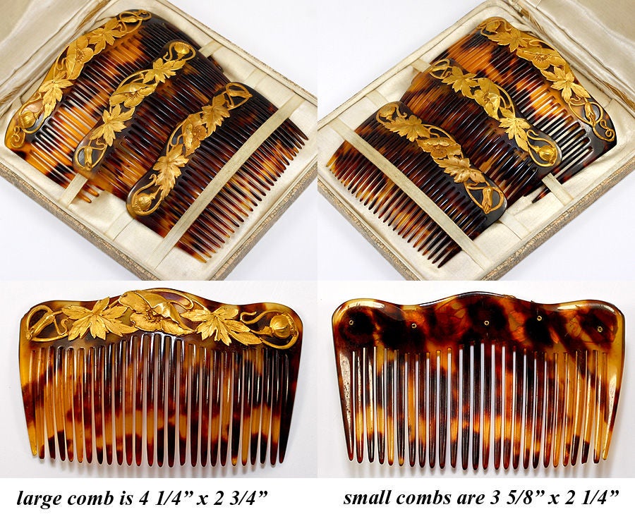 Antique 3 Tortoise Shell Hair Comb Set in Box, Gold Mounted For Sale at ...