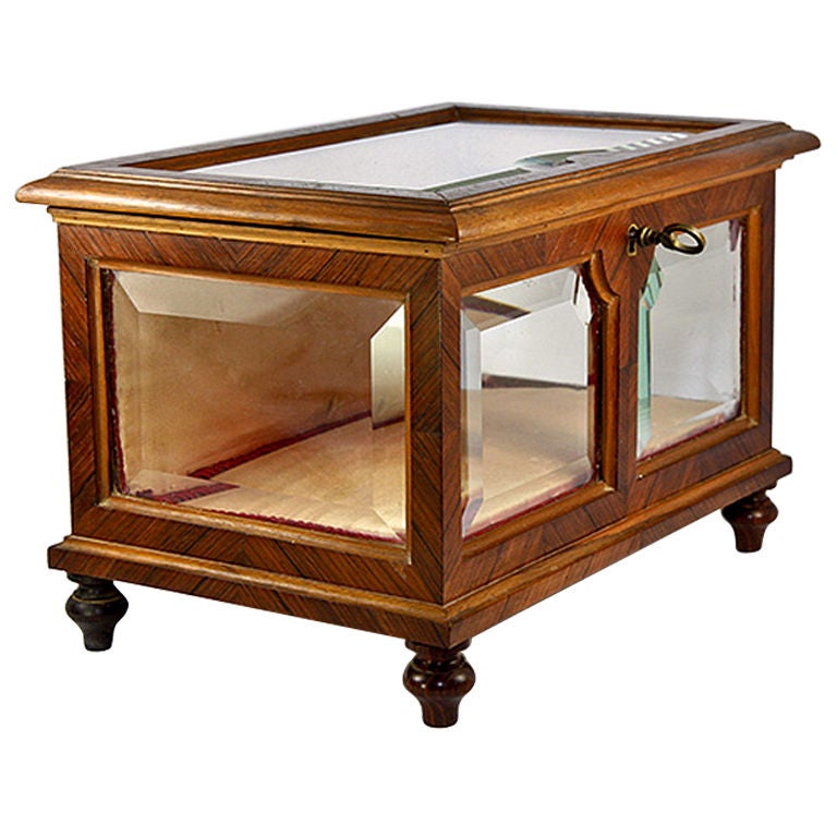 Antique French Large Kingwood Beveled Glass Table Box Vitrine at 1stDibs