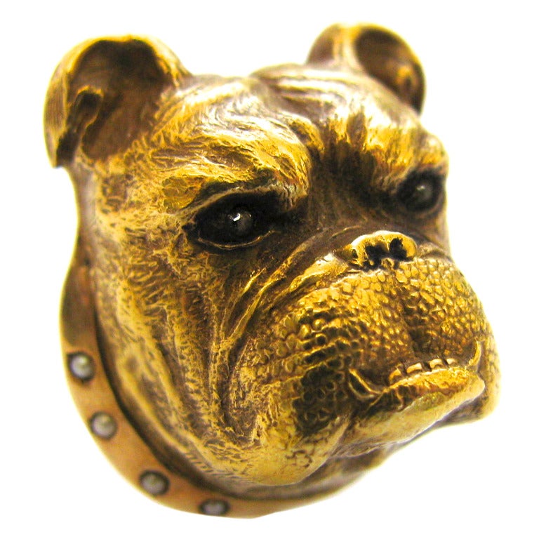 An Edwardian Bulldog Pin 1906 at 1stDibs