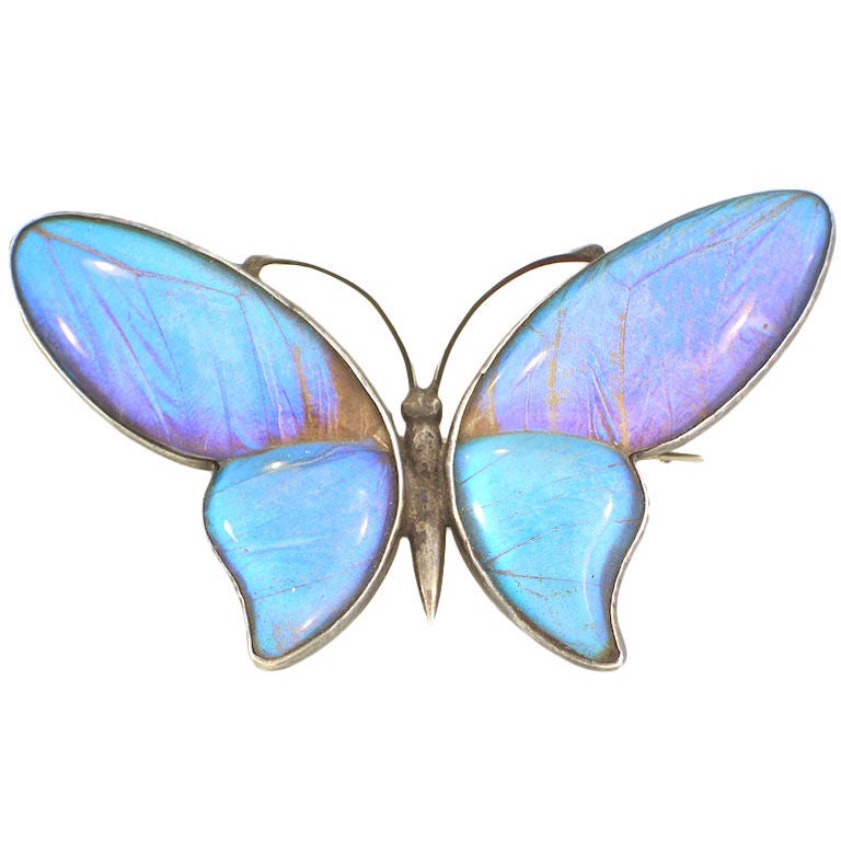 Butterfly Wing and Silver Brooch at 1stDibs