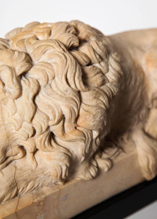 Pair of Grand Tour Period, Roman Sienna Marble Recumbent Lions after ...