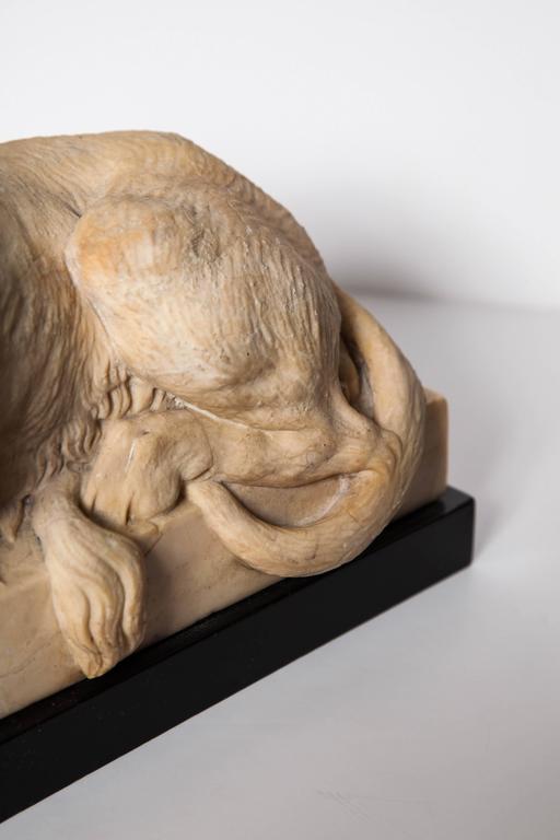 Pair of Grand Tour Period, Roman Sienna Marble Recumbent Lions after ...