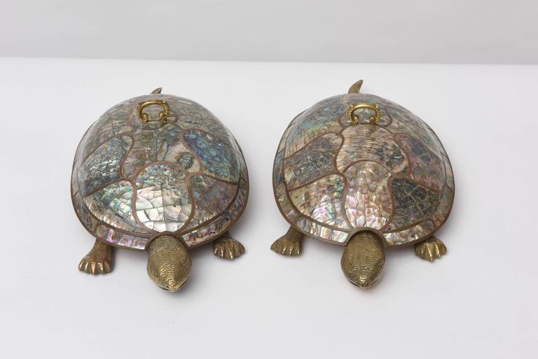 Mexican Mid-Century Abalone and Brass Turtle Serving Bowls at 1stDibs ...