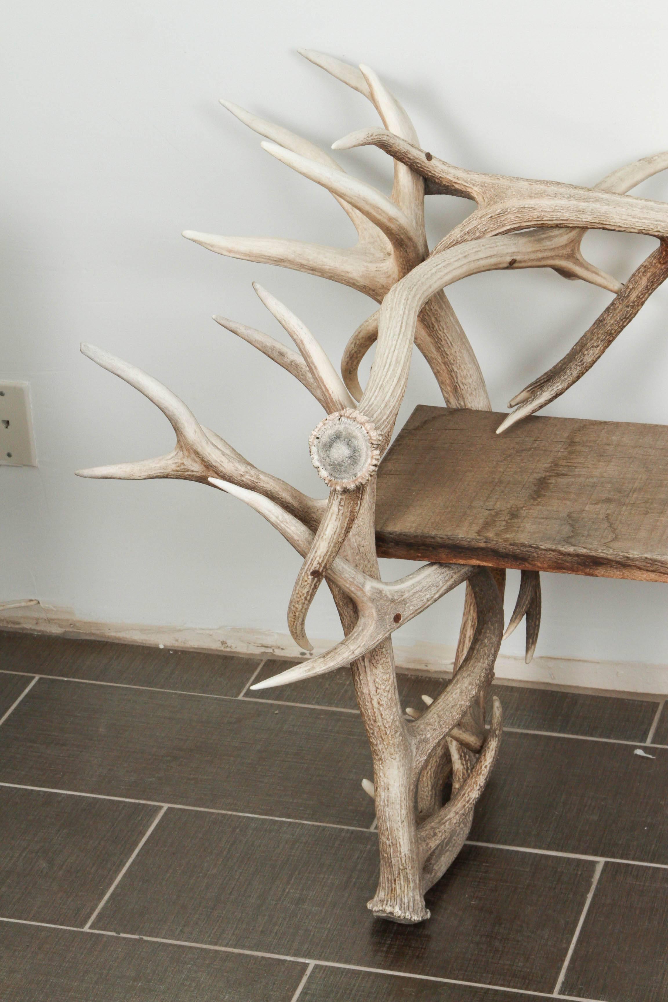 Magnificent Elk Antler Bench For Sale at 1stDibs