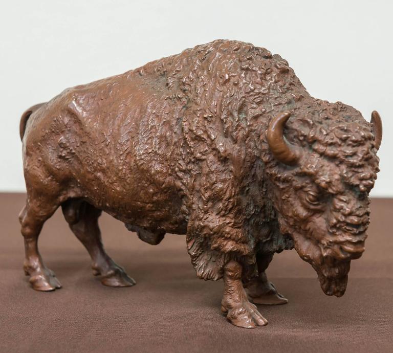 Late 19th Century Austrian Bronze Buffalo of Good Scale at 1stDibs