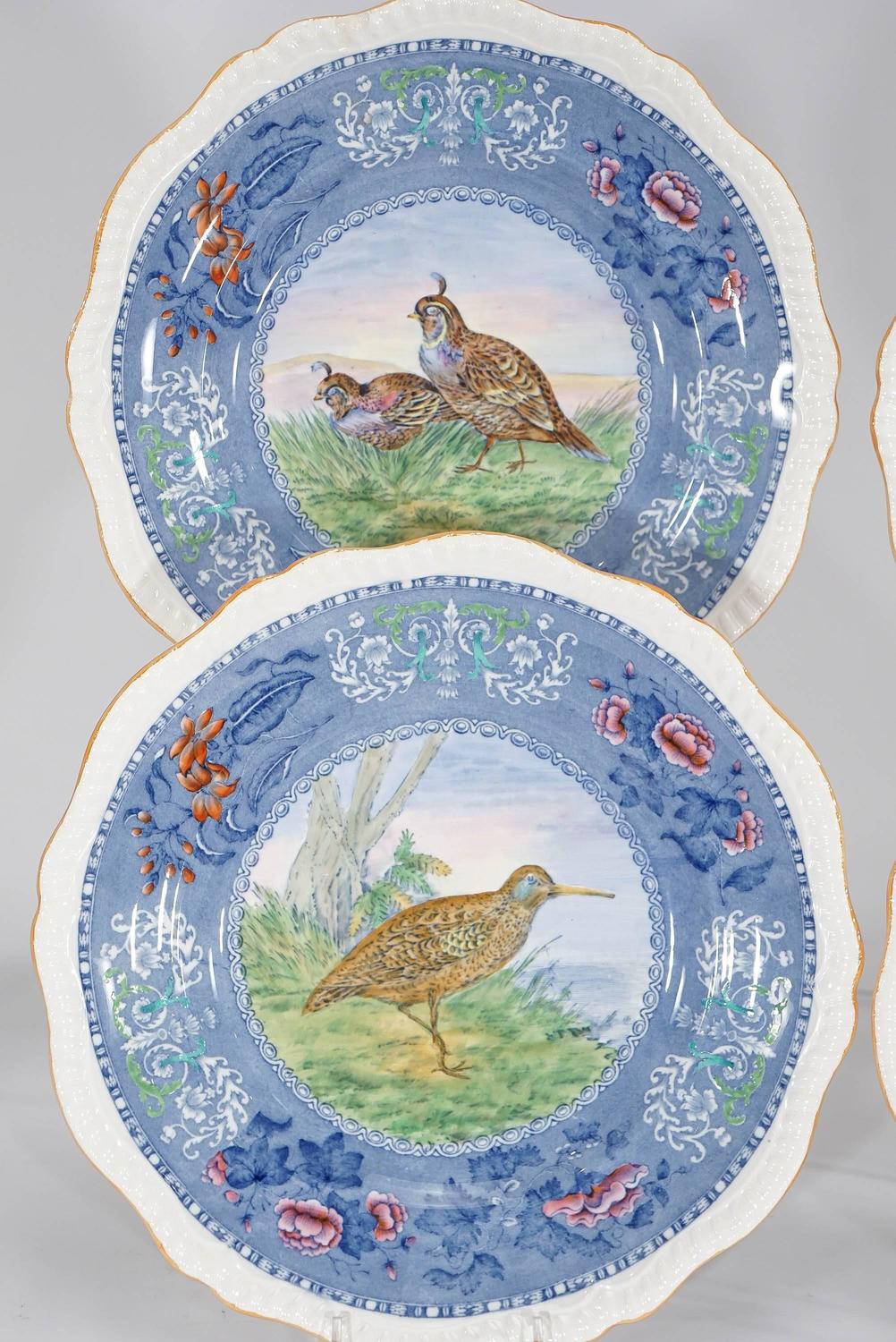 Set of 12 Copeland Spode Game Bird Dinner Plates with White Borders at ...