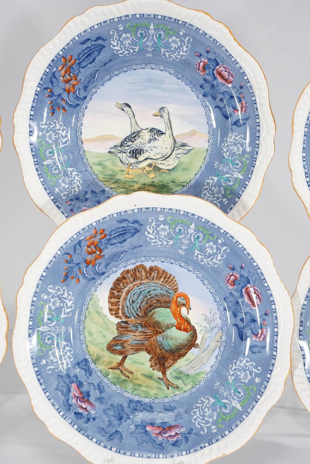 Set of 12 Copeland Spode Game Bird Dinner Plates with White Borders at ...