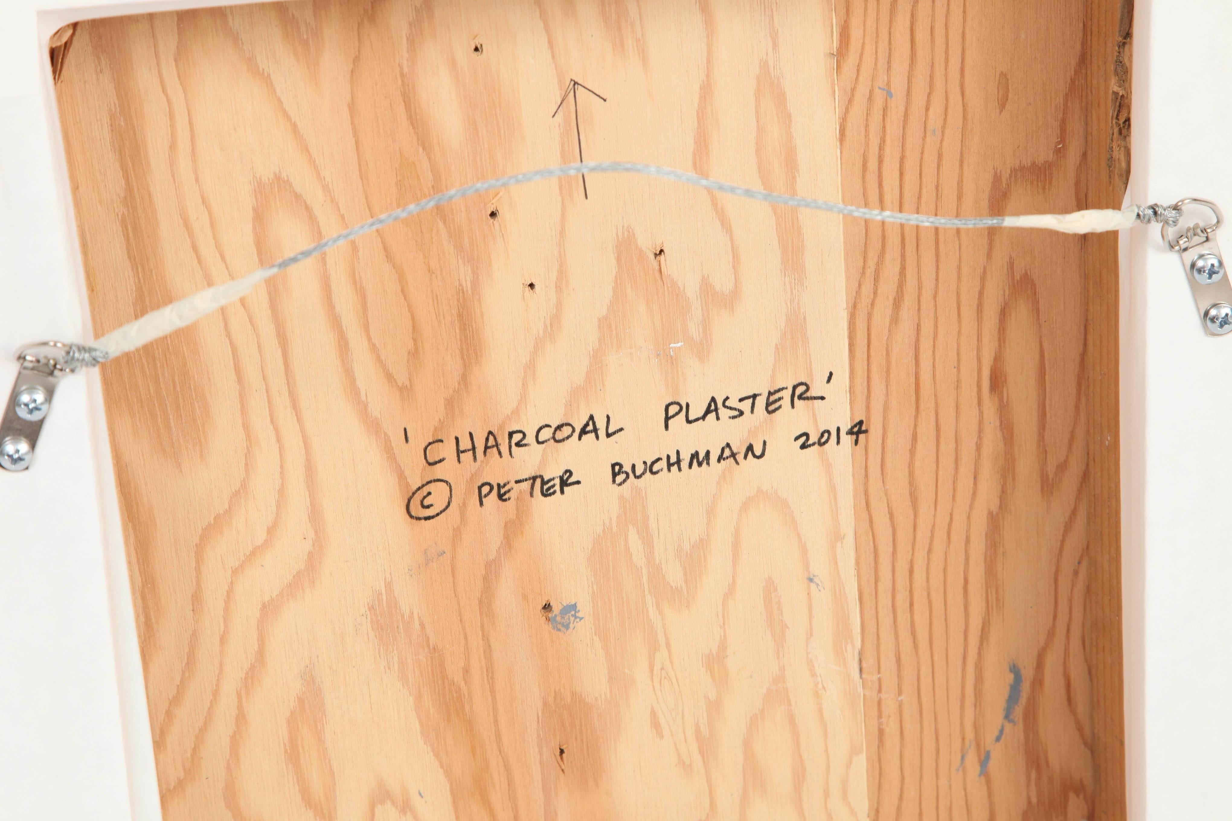 Peter Buchman Charcoal Plaster on Wood with White Frame, 2014 For Sale ...