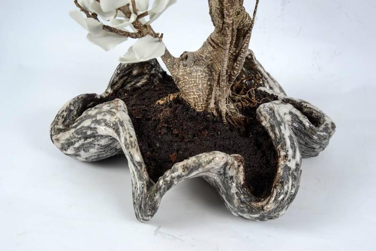 Tree Made Up of Natural Plant and Leaves in White Ceramic For Sale at ...