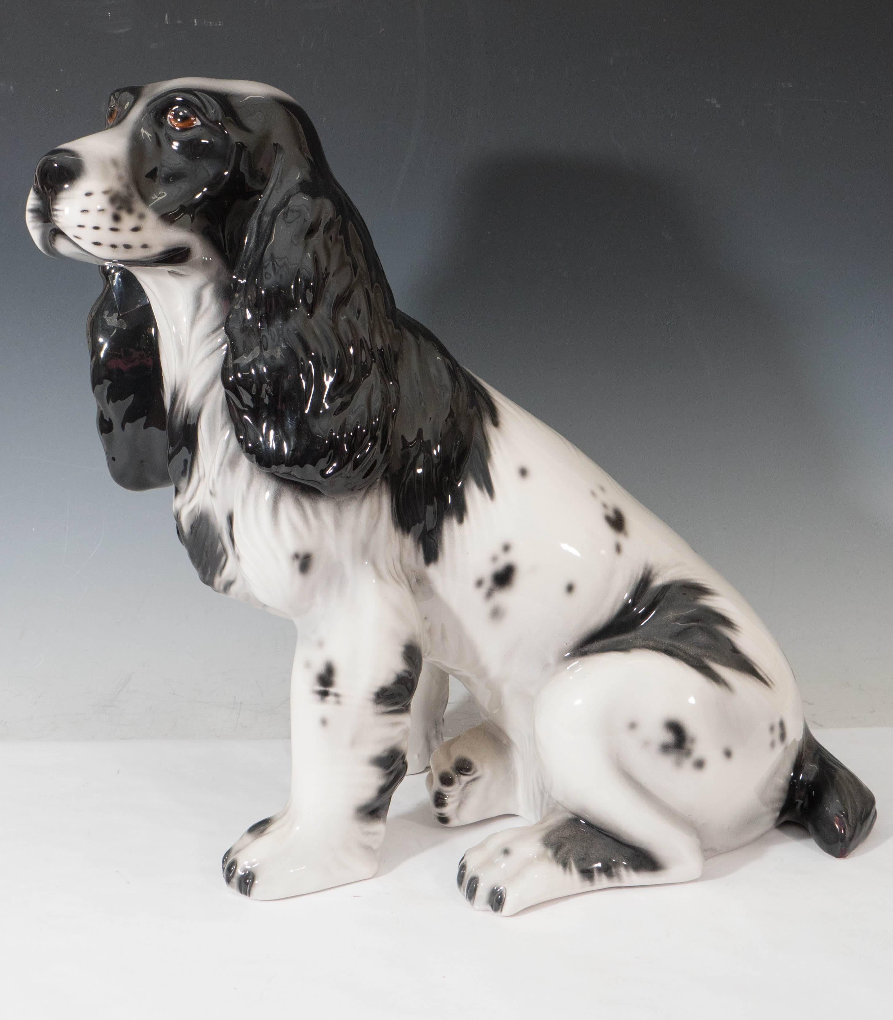 Mid-Century Italian Ceramic Sculpture of a Black and White Cocker ...