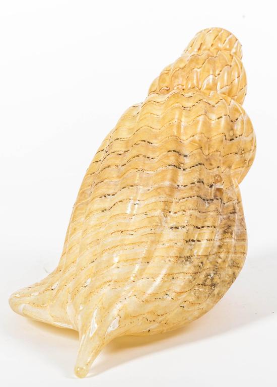 Large Murano Glass Conch Shell Sculpture with Brown Detail at 1stDibs