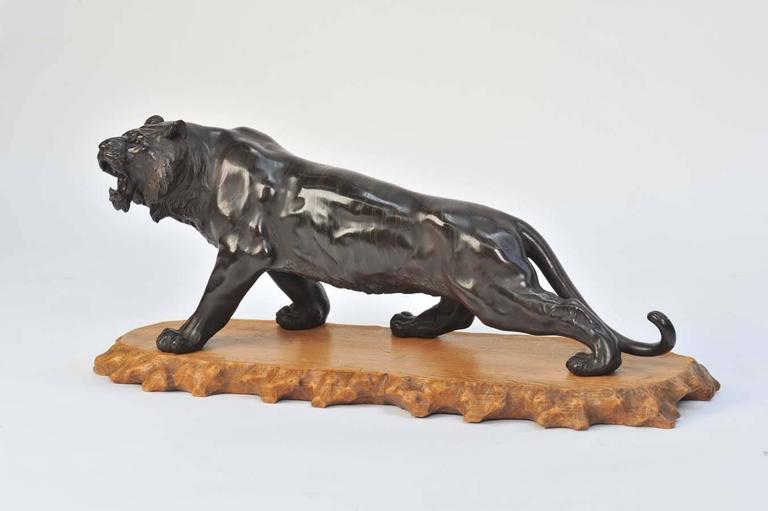 Large Antique Bronze Tiger For Sale at 1stDibs
