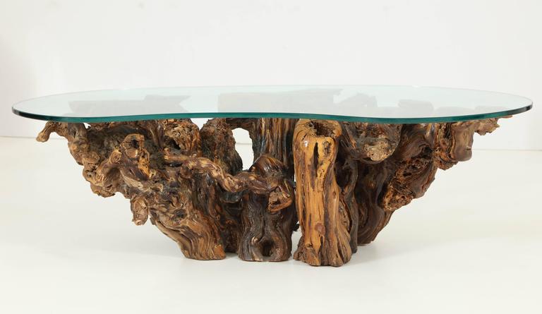 Organic Free-Form Driftwood Coffee Table at 1stDibs