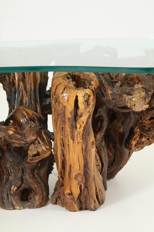 Organic Free-Form Driftwood Coffee Table at 1stDibs