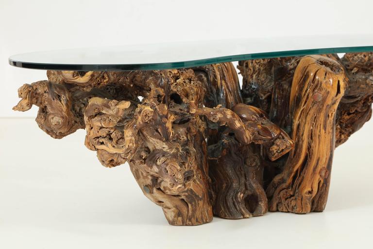 Organic Free-Form Driftwood Coffee Table at 1stDibs
