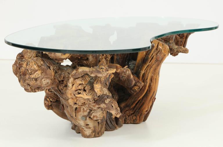 Organic Free-Form Driftwood Coffee Table at 1stDibs