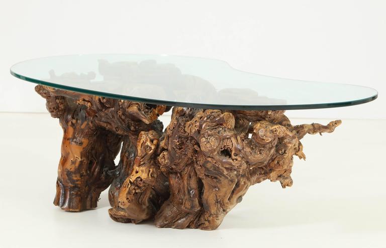 Organic Free-Form Driftwood Coffee Table at 1stDibs