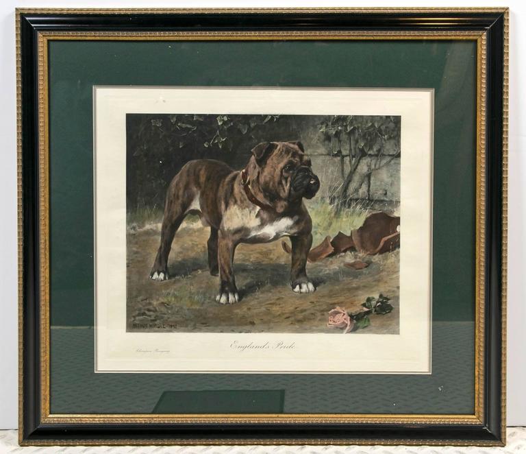 Arthur Wardle "England's Pride" Hand Colored Print For Sale at 1stDibs