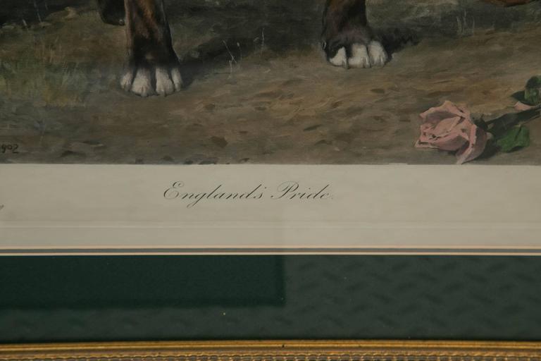 Arthur Wardle "England's Pride" Hand Colored Print For Sale at 1stDibs
