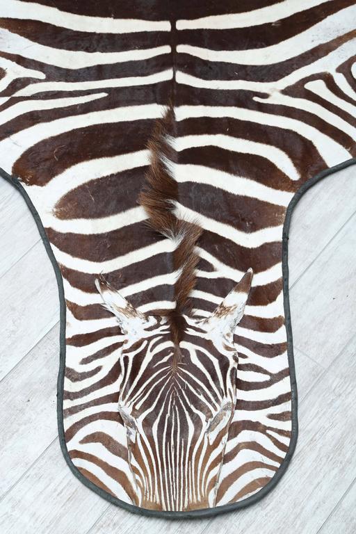 Genuine Zebra Skin Rug at 1stDibs