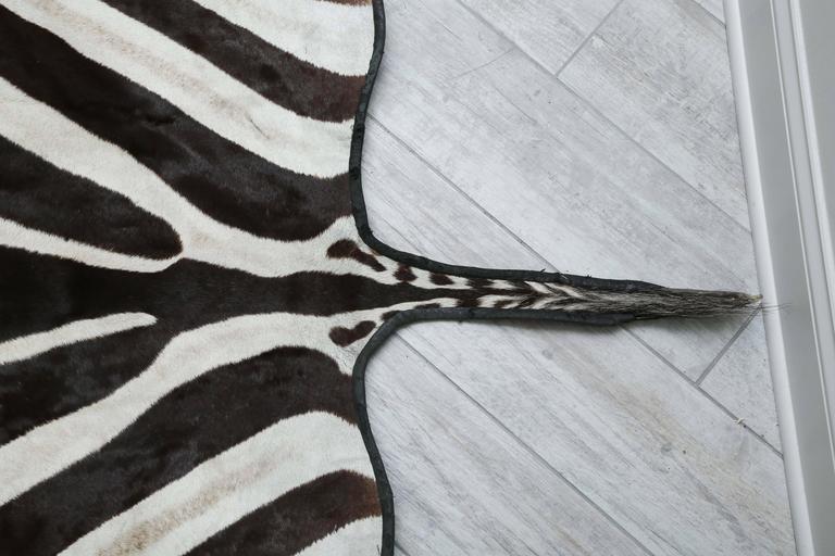 Genuine Zebra Skin Rug at 1stDibs