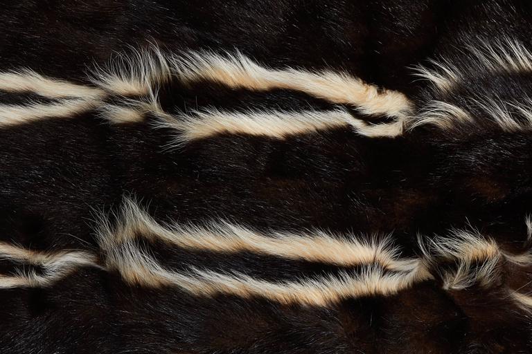 Skunk Fur Rug or Throw at 1stDibs