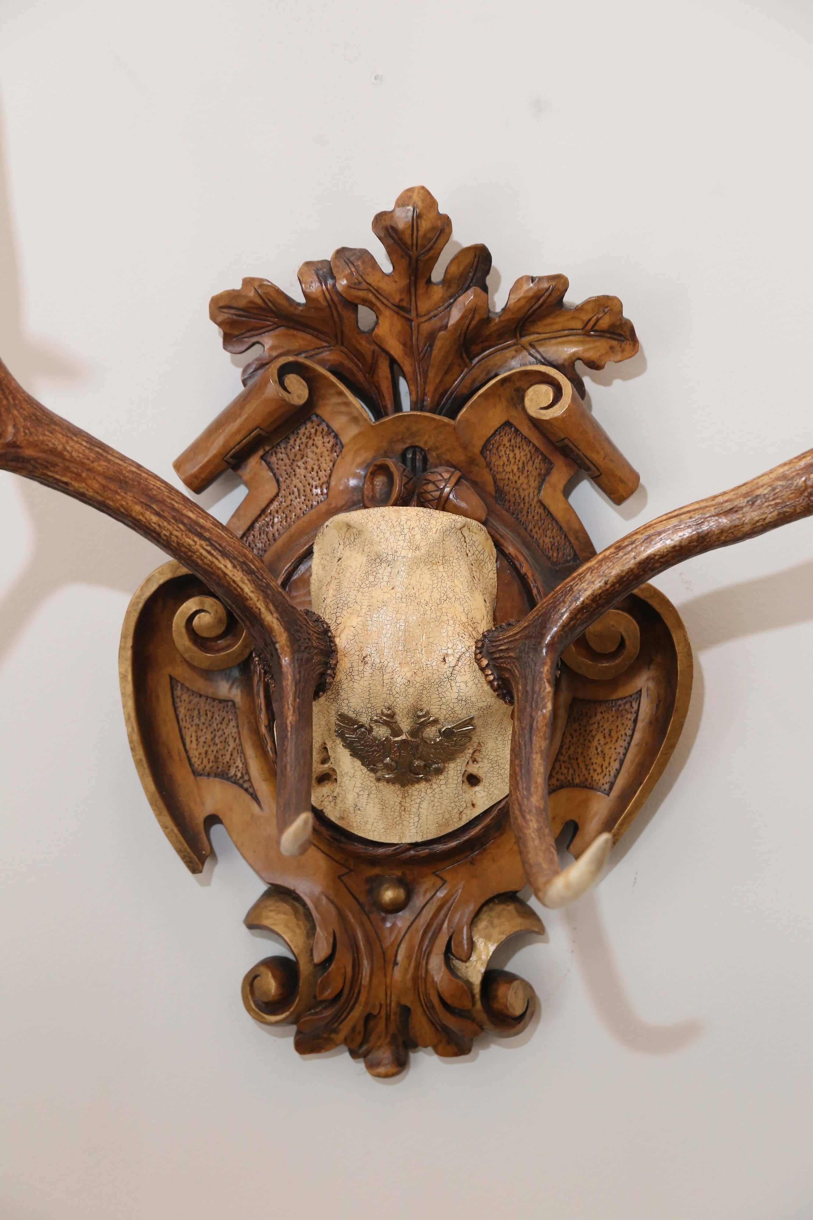 Habsburg Hunt Trophy with Original Habsburg Double Headed Eagle Wappen ...