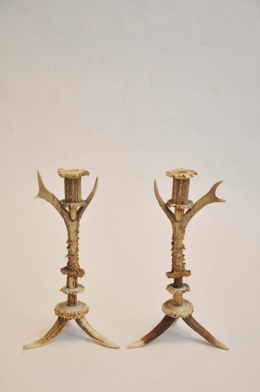 Pair of 18th Century Bavarian Antler Candlesticks at 1stDibs