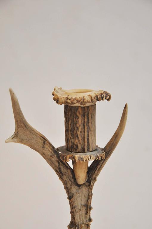 Pair of 18th Century Bavarian Antler Candlesticks at 1stDibs