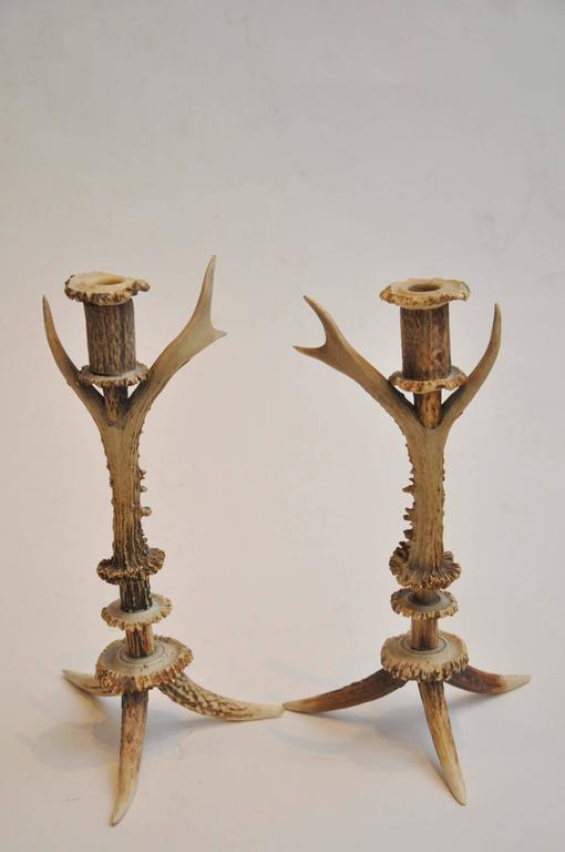 Pair of 18th Century Bavarian Antler Candlesticks at 1stDibs