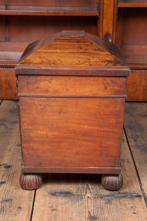 Regency Mahogany Cellarette For Sale at 1stdibs
