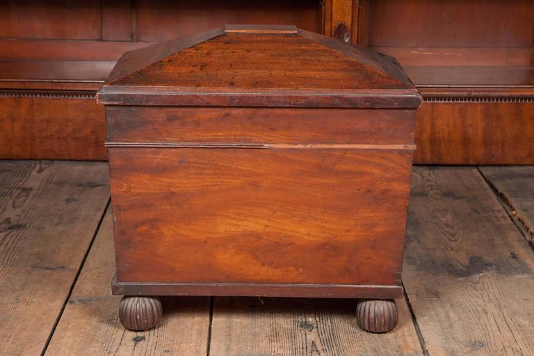 Regency Mahogany Cellarette For Sale at 1stdibs