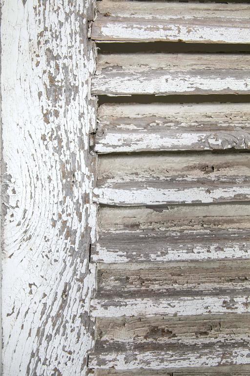 Arched English Door Shutters For Sale at 1stDibs