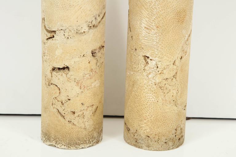 Pair of Fossil Coral Lamps at 1stDibs | fossil lamps osrs